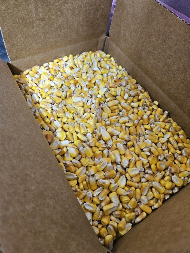 Dried Whole Kernel Corn in A Box – Free Shipping. - Etsy