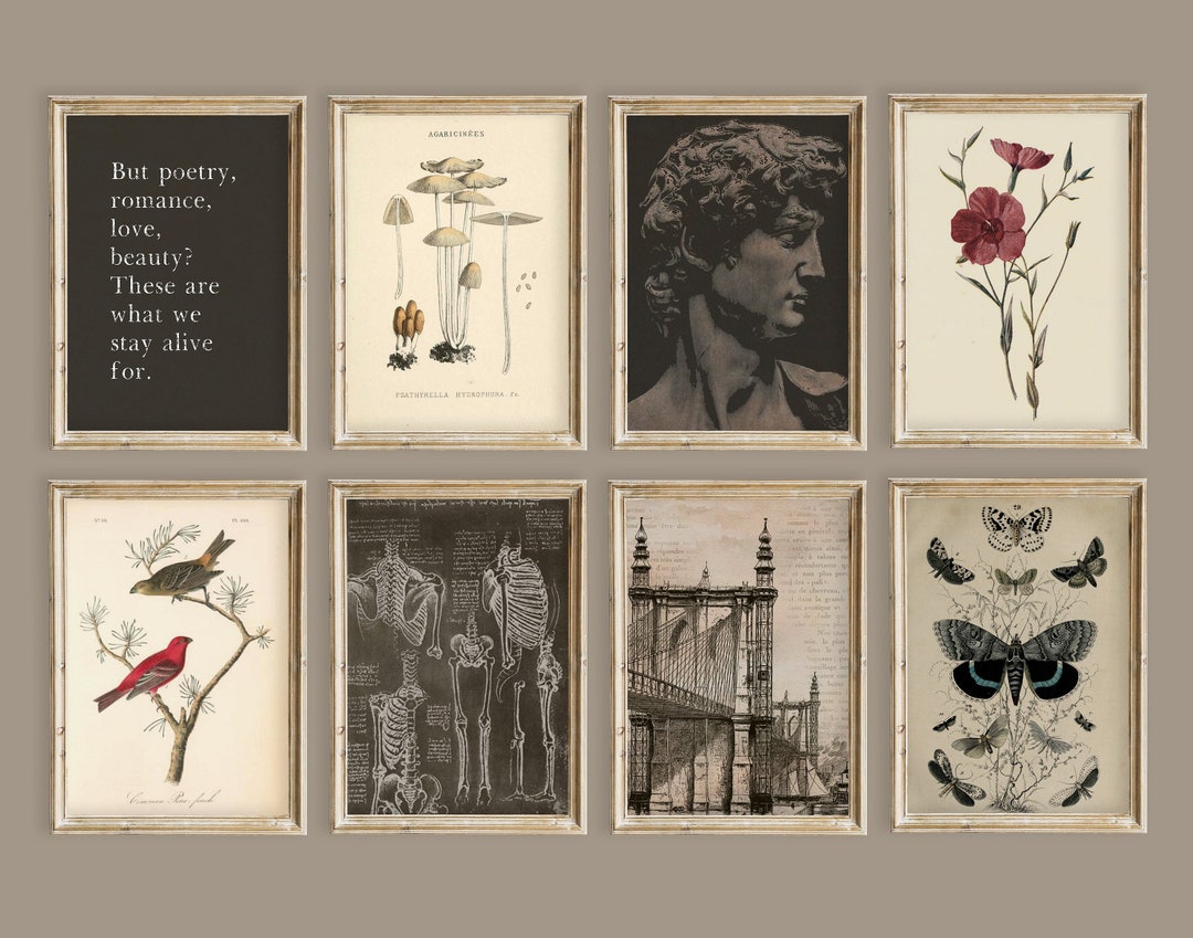 Set of 8 Vintage Moody Art Prints Gallery | Dark Academia Wall Art ...
