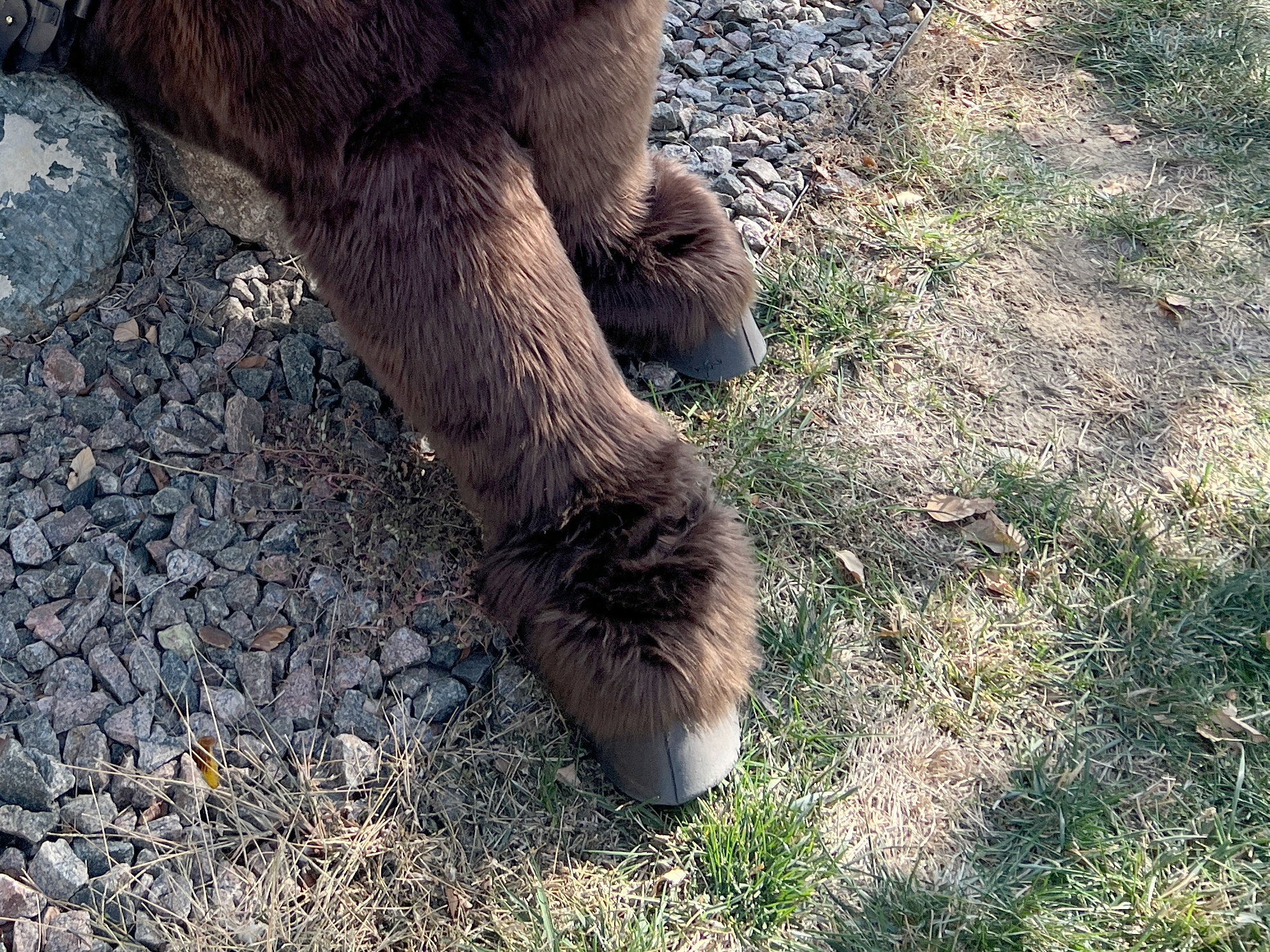 Faun Hoof Digital Template - Etsy