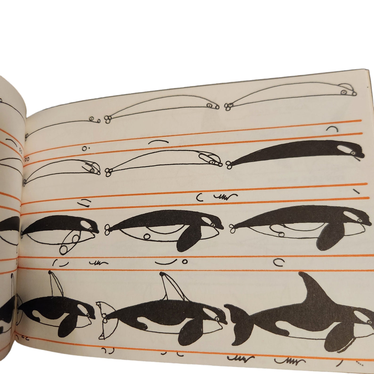 1990 Ed Emberly Little Drawing Book of Sea Creatures - Etsy