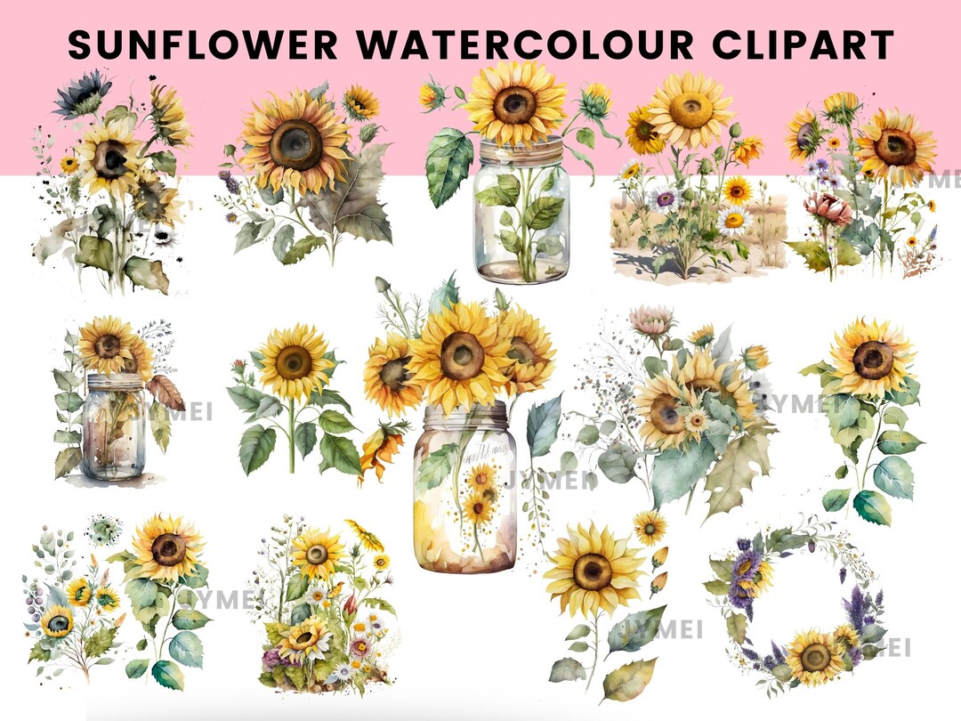 Sunflowers Watercolor Clipart, Sunflowers Flower PNG, Floral Clipart ...