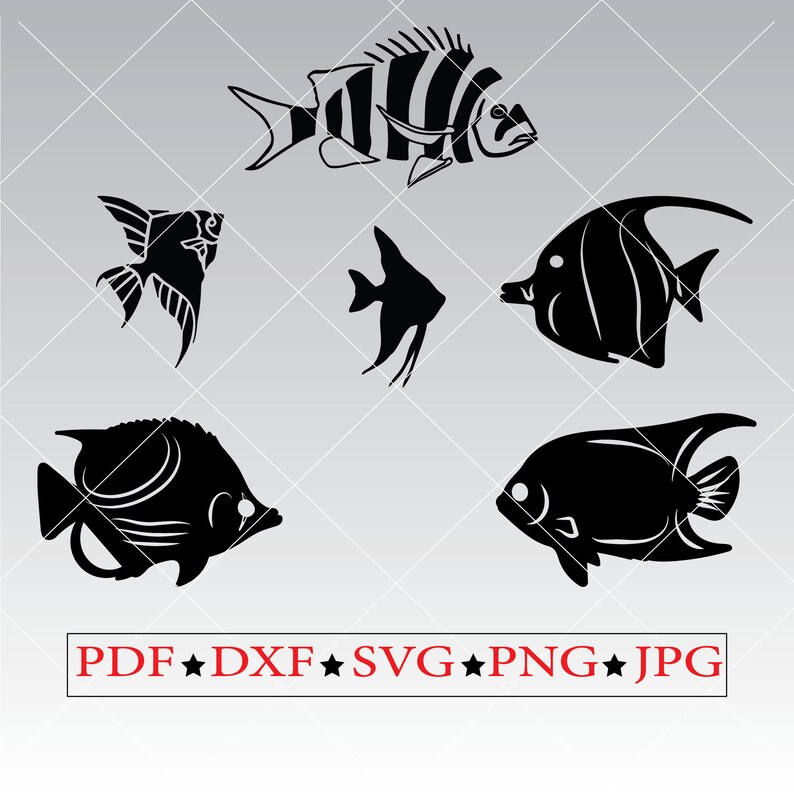 Fish Svg Fish Clipart for Gifts Design Svg Clipart Files Fishing Svg ...