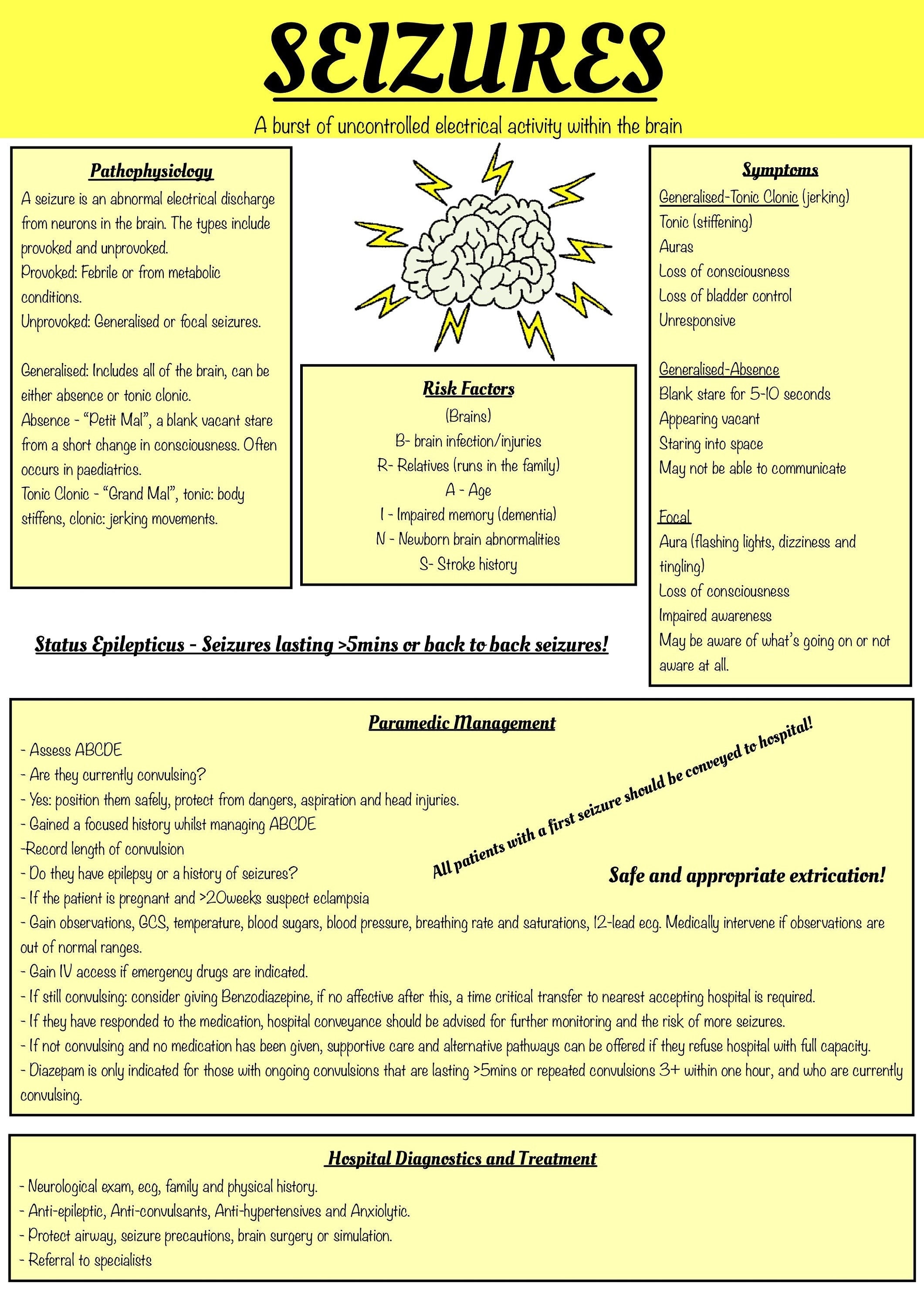 Seizures - Study Notes - Etsy