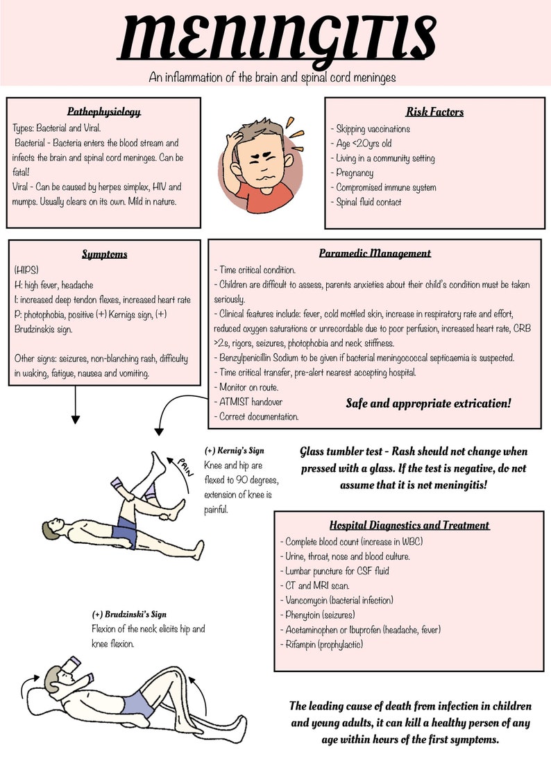 Meningitis- Study Notes - Etsy