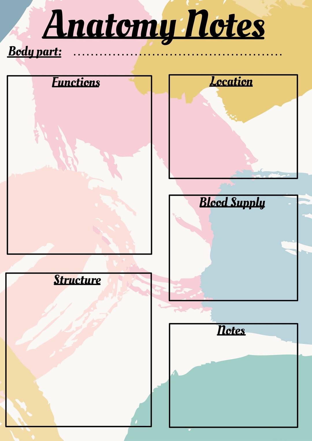 Anatomy Revision Template - Etsy