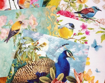 Decoupage Napkins Bird Paper Napkins Set of 3 - Etsy