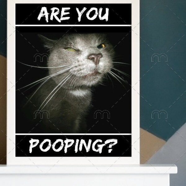 Are You Pooping Cat Poster - Etsy