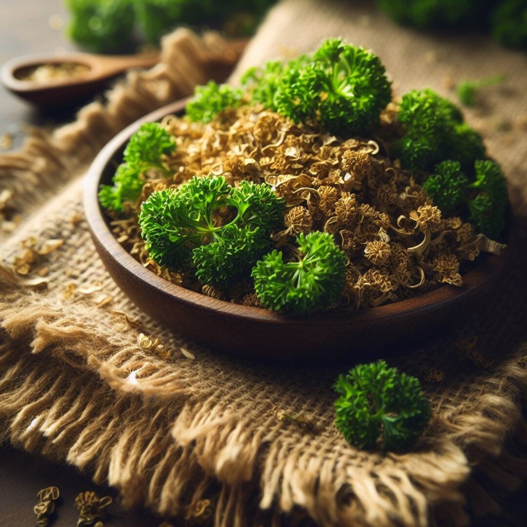 12 Gram Bag of Curly Parsley - Etsy