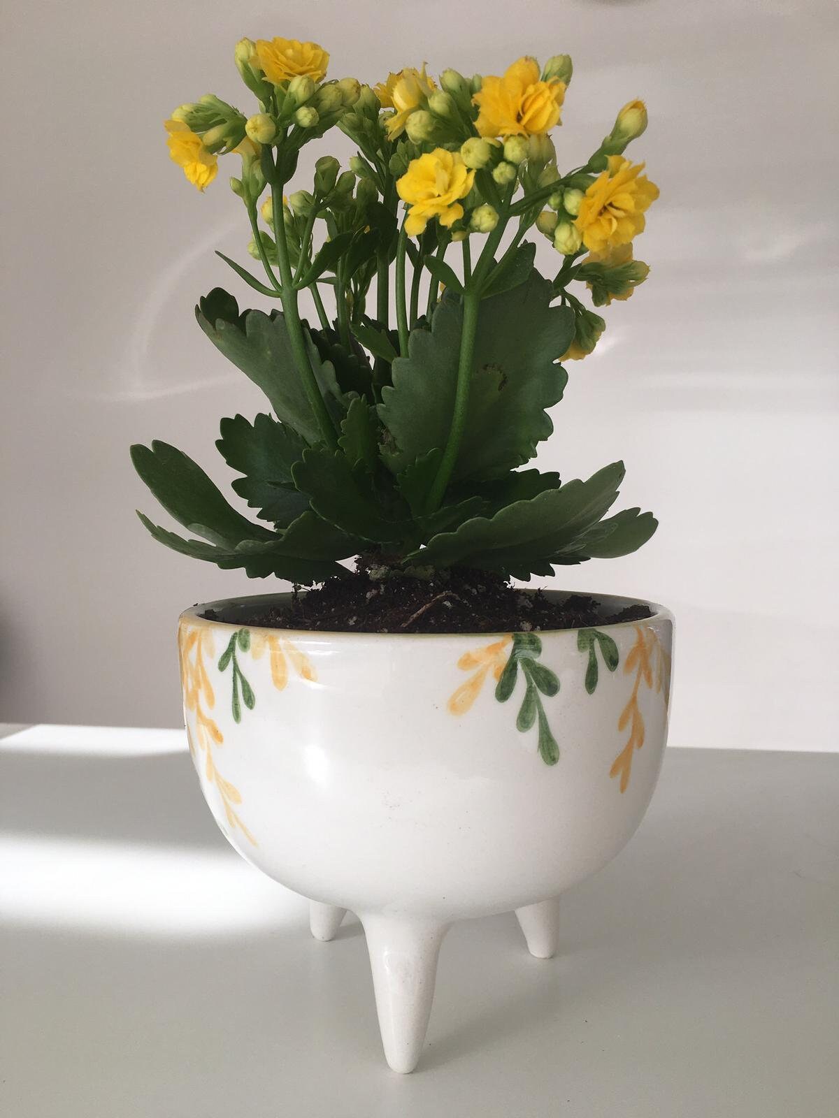 Hand Painted Ceramic Pot, Cute Ceramic Planter, Ceramic Flower Pot ...