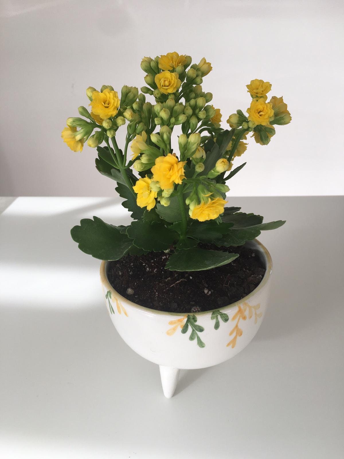 Hand Painted Ceramic Pot, Cute Ceramic Planter, Ceramic Flower Pot ...