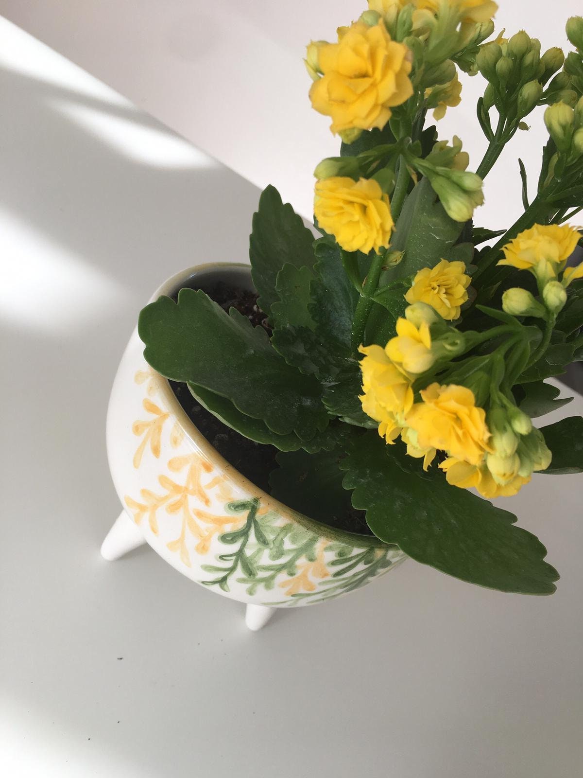 Hand Painted Ceramic Pot, Cute Ceramic Planter, Ceramic Flower Pot ...