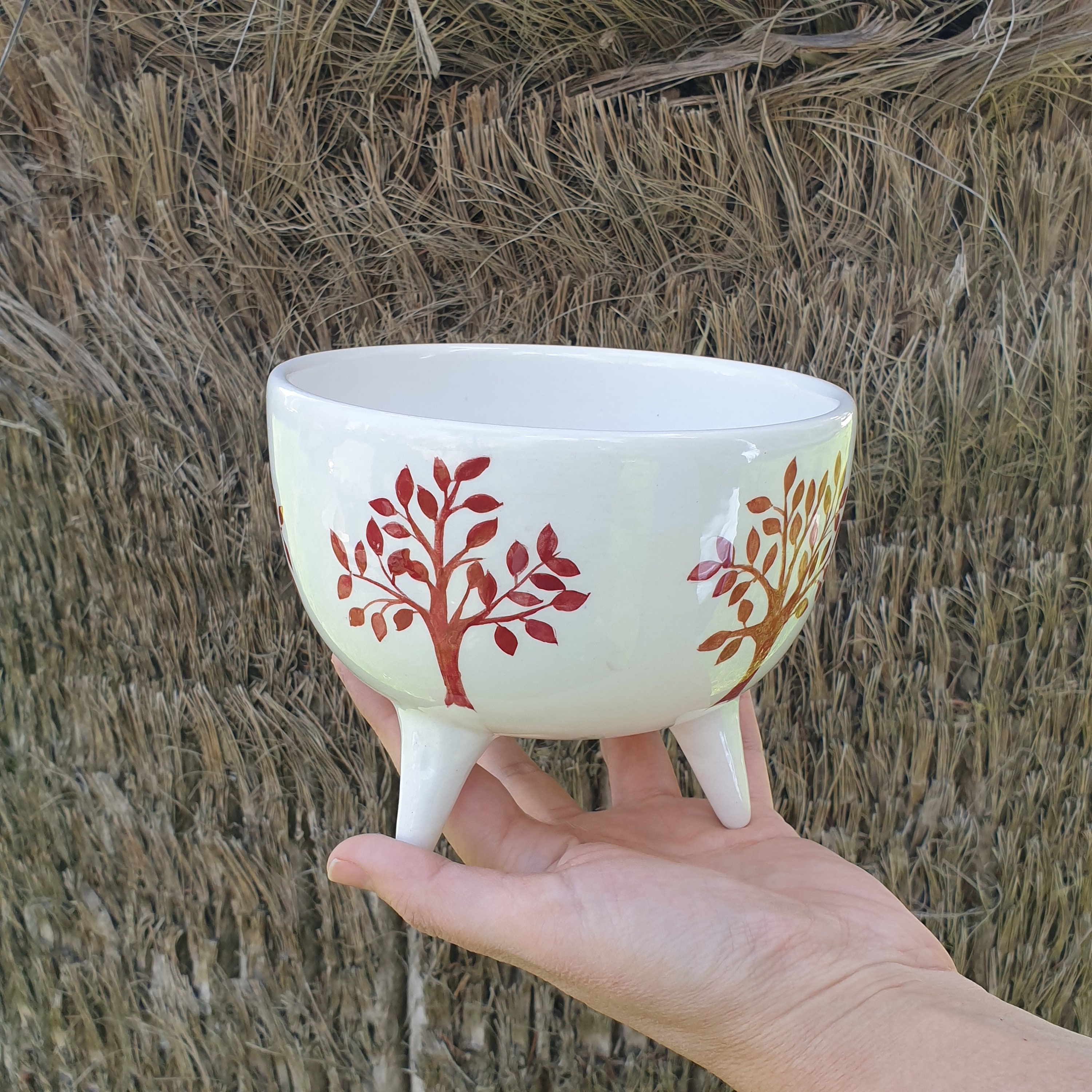 Sound of Trees Ceramic Pot, Cute Ceramic Planter, Ceramic Flower Pot ...
