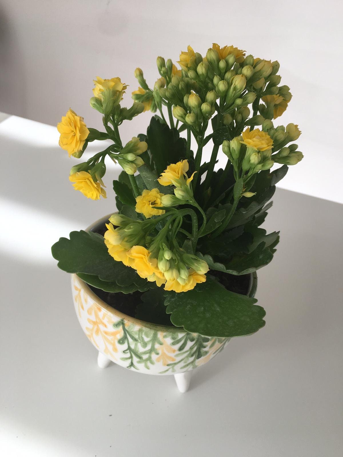 Hand Painted Ceramic Pot, Cute Ceramic Planter, Ceramic Flower Pot ...