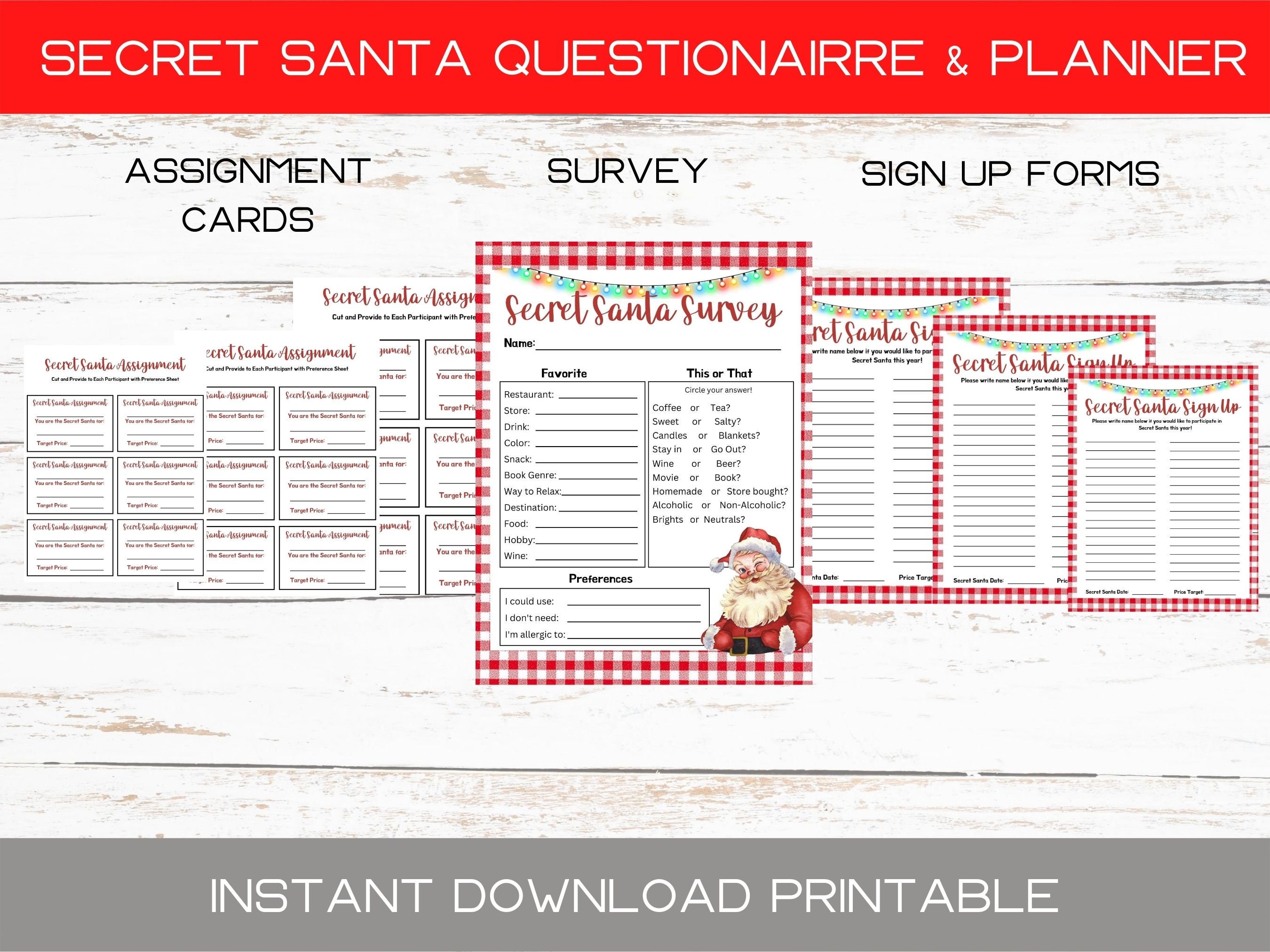 Secret Santa Holiday Printable Questions for Holiday Gift - Etsy