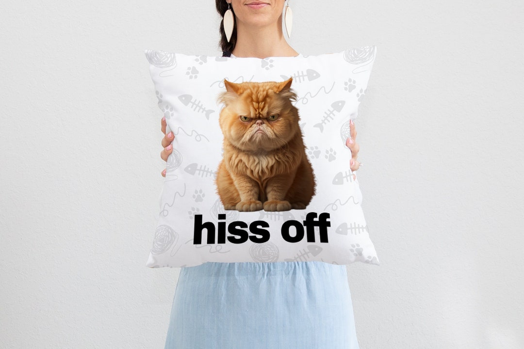 Funny Cat Pillow, Ornery Cat Throw Pillow, Angry Kitten Accent Pillow ...