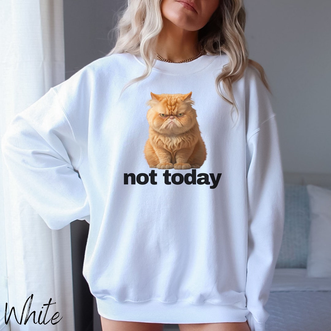 Funny Cat Sweatshirt, Ornery Cat Sweatshirt, Grumpy Cat Sweatshirt, Cat ...