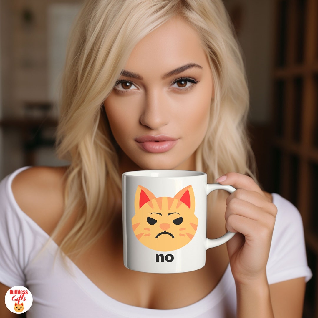 Funny Cat Coffee Mug Cat Mug Angry Cat Cup No Cat T Cat Lovers T T For Cat Mom