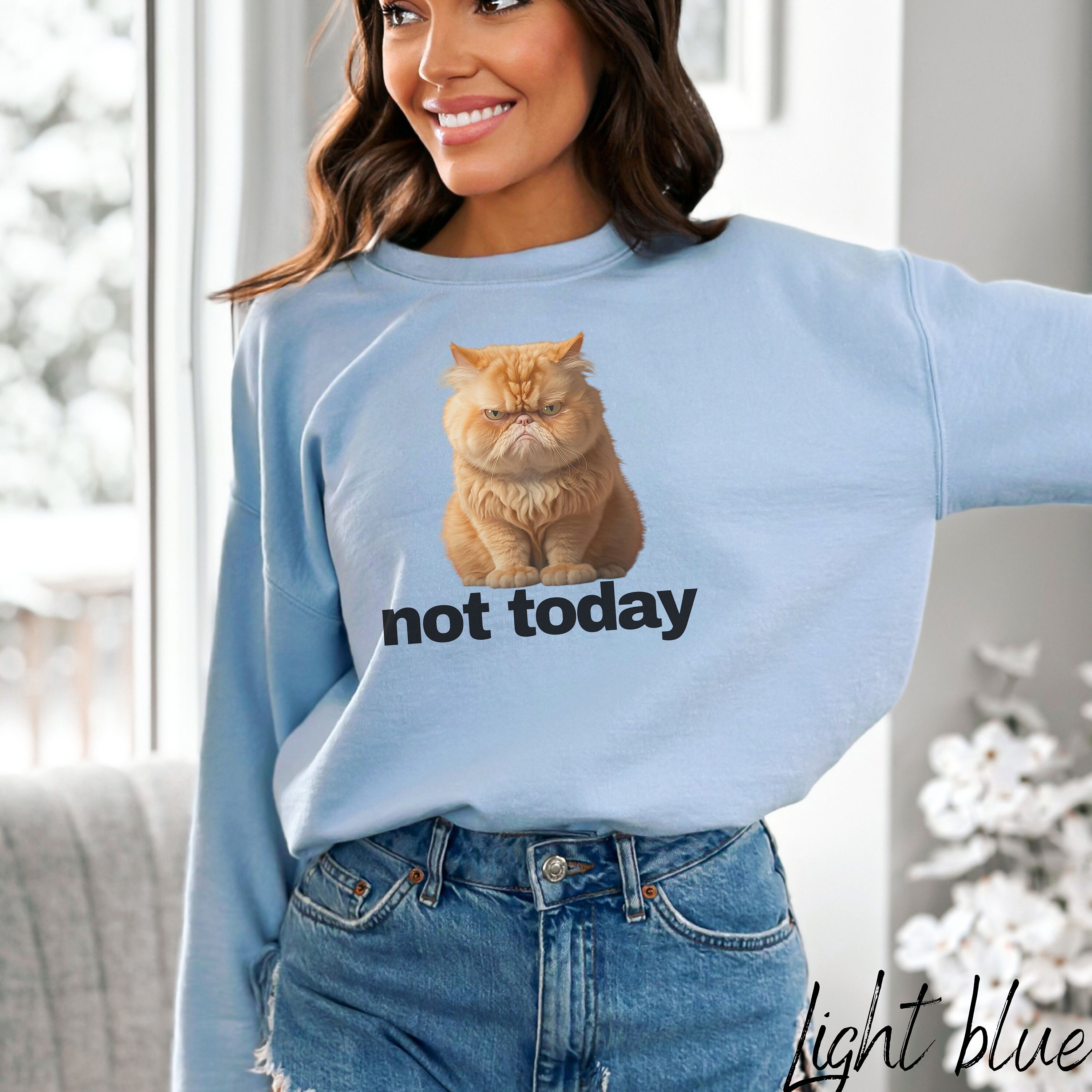 Funny Cat Sweatshirt, Ornery Cat Sweatshirt, Grumpy Cat Sweatshirt, Cat ...