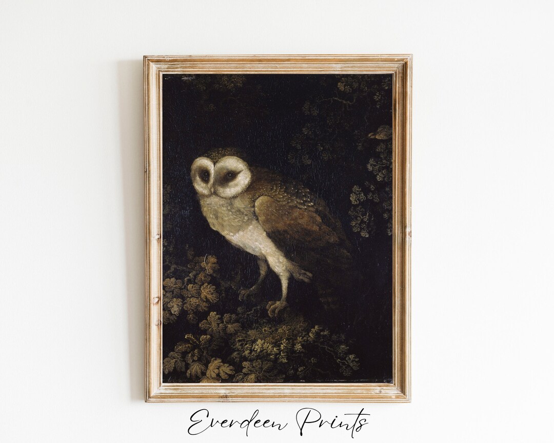 Vintage Owl Art Print Antique Art Print Home Decor Wall Art Decor Print ...