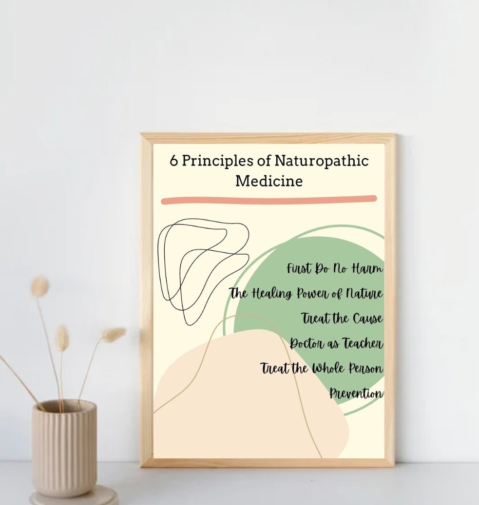 Holistic Naturopathic Medicine Principles Posters - Etsy