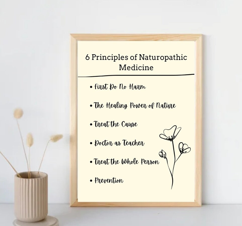 Holistic Naturopathic Medicine Principles Posters - Etsy