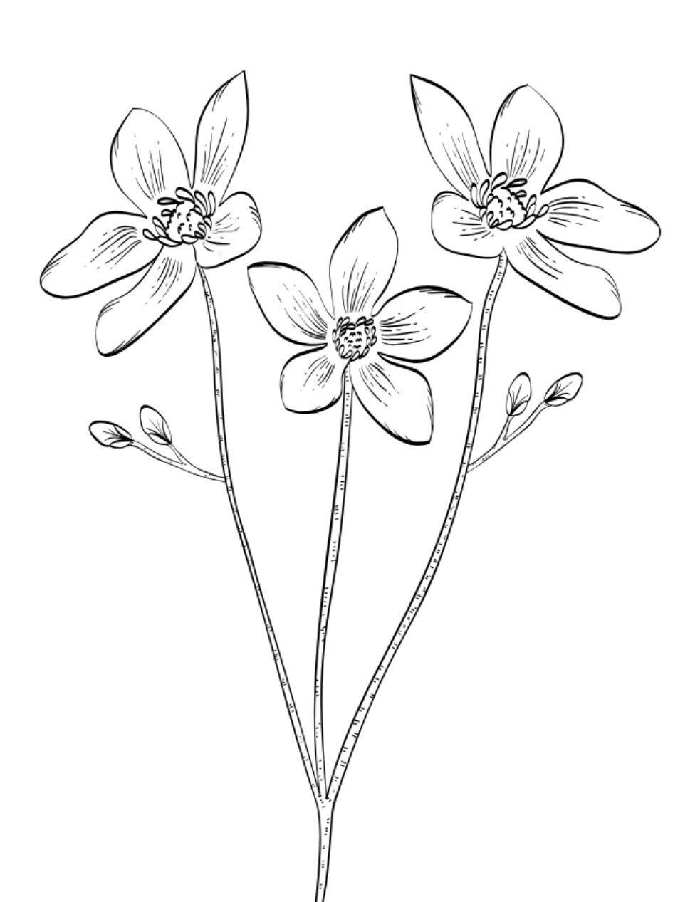 Flower Coloring Book - Etsy
