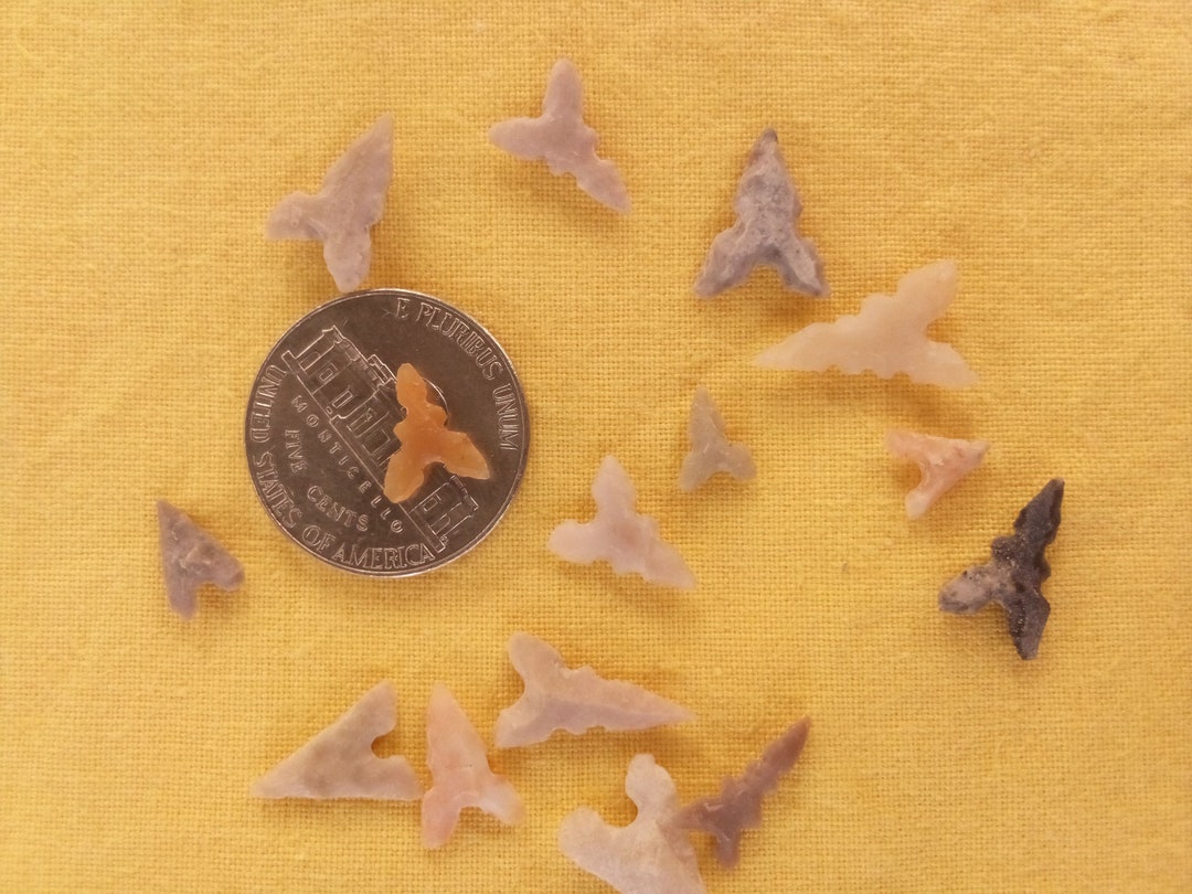 15 Bird Point Native American Arrowheads - Etsy