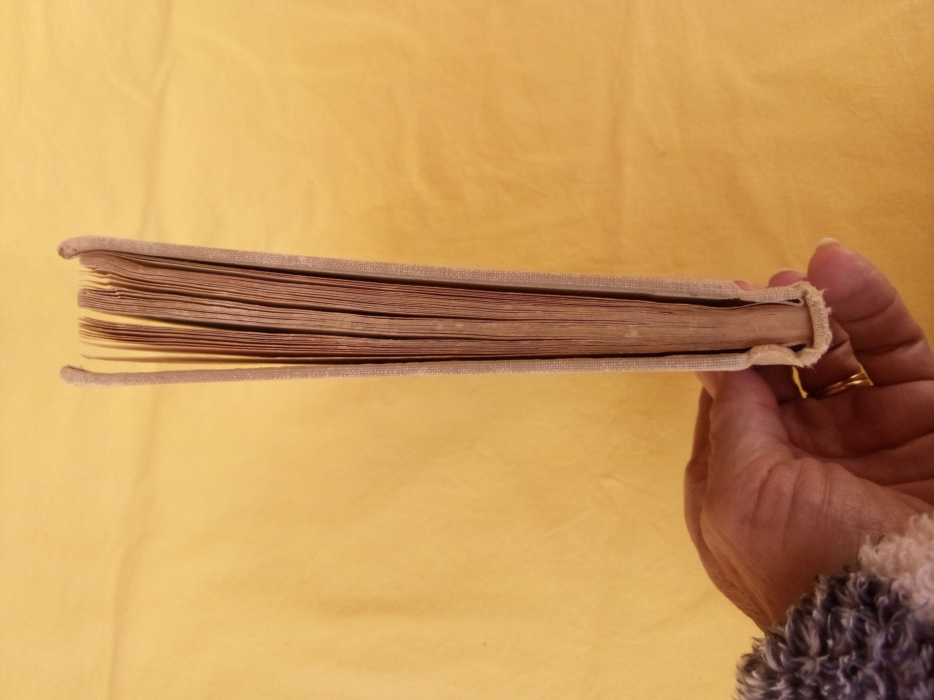 1951 Tom and Susan Primer Reading Book - Etsy