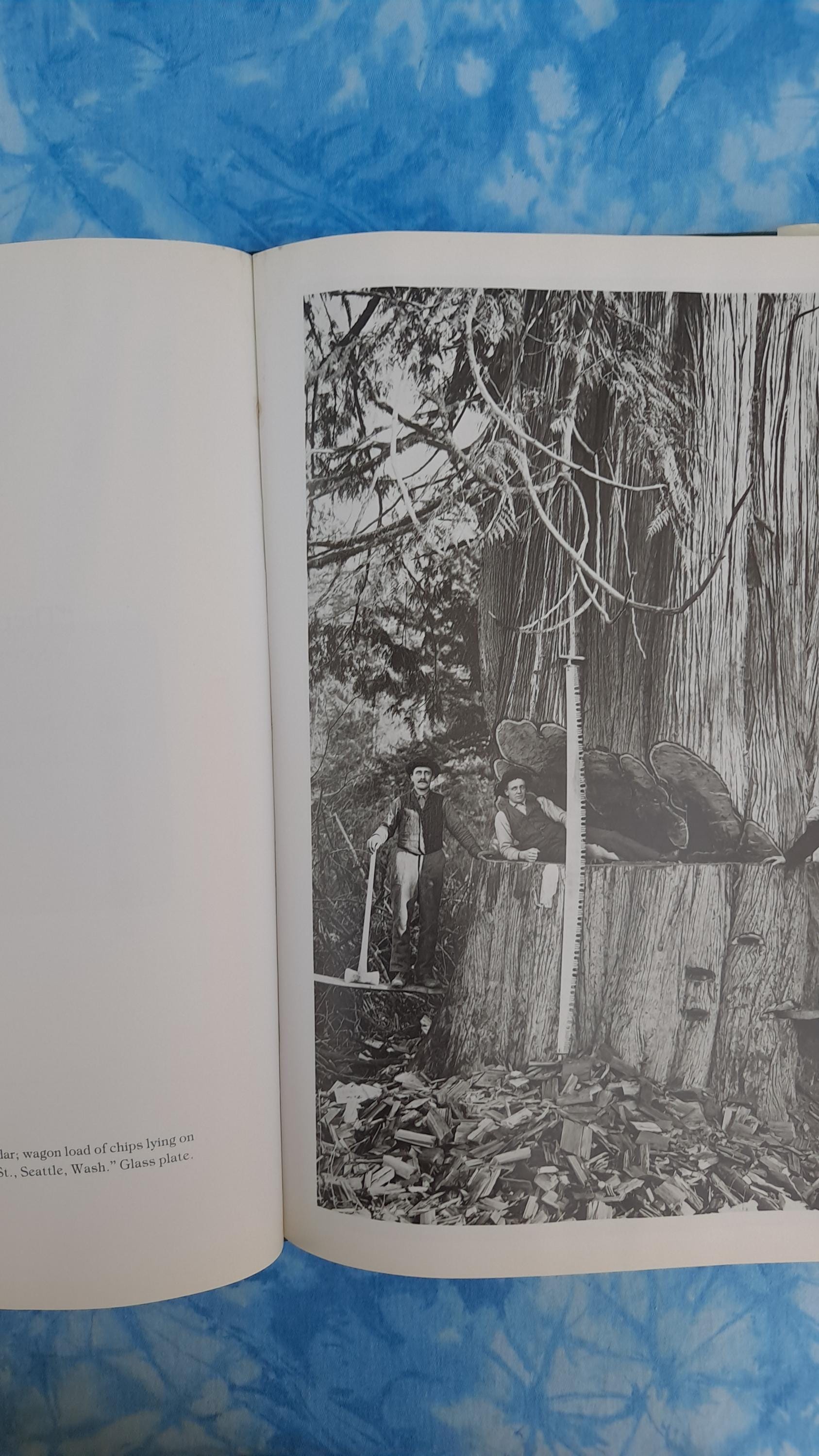 1988. 6th Printing, Kinsey Photographer Book - Etsy