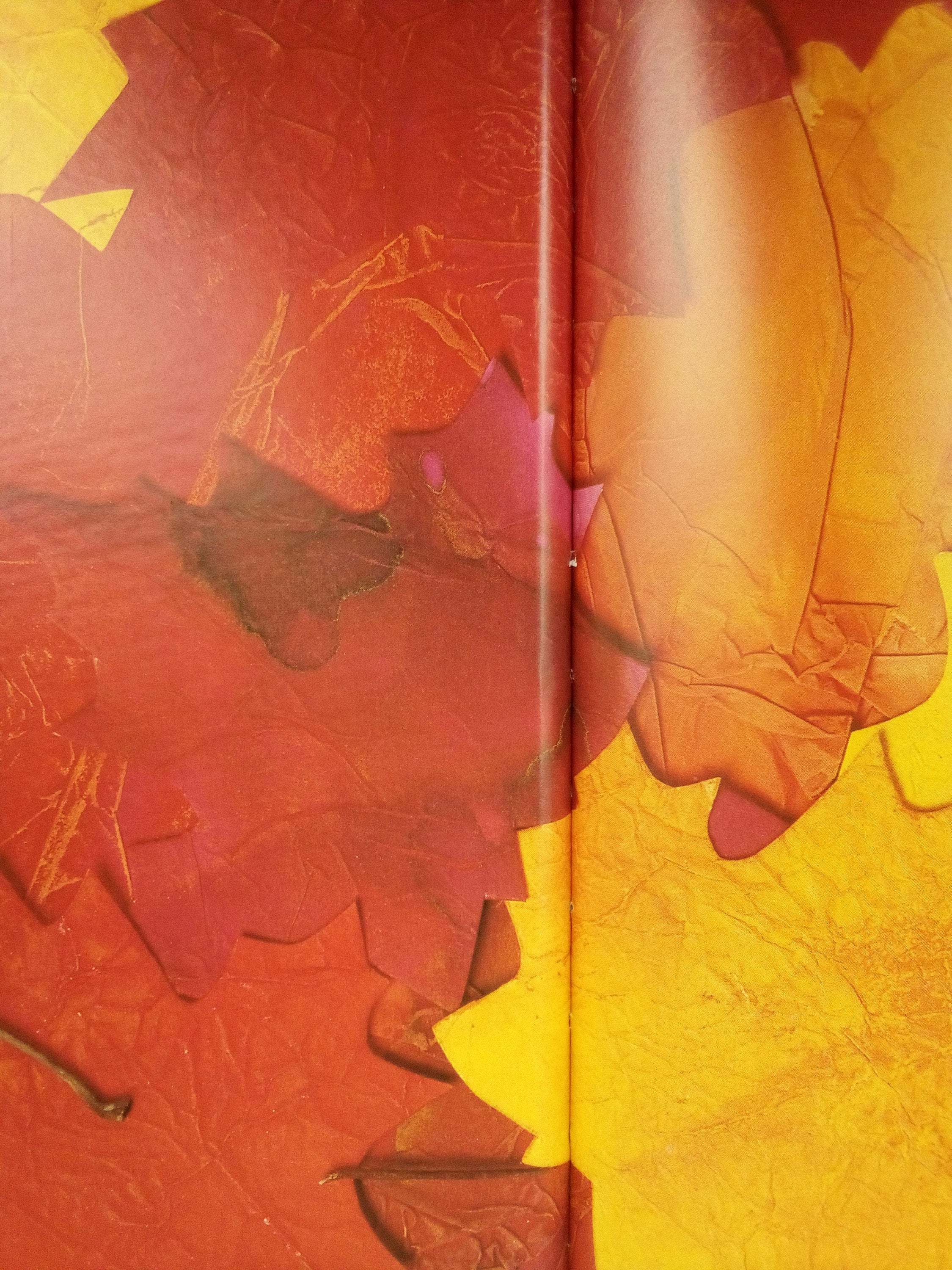 Red Leaf, Yellow Leaf, by Lois Ehlert, Children's Book - Etsy