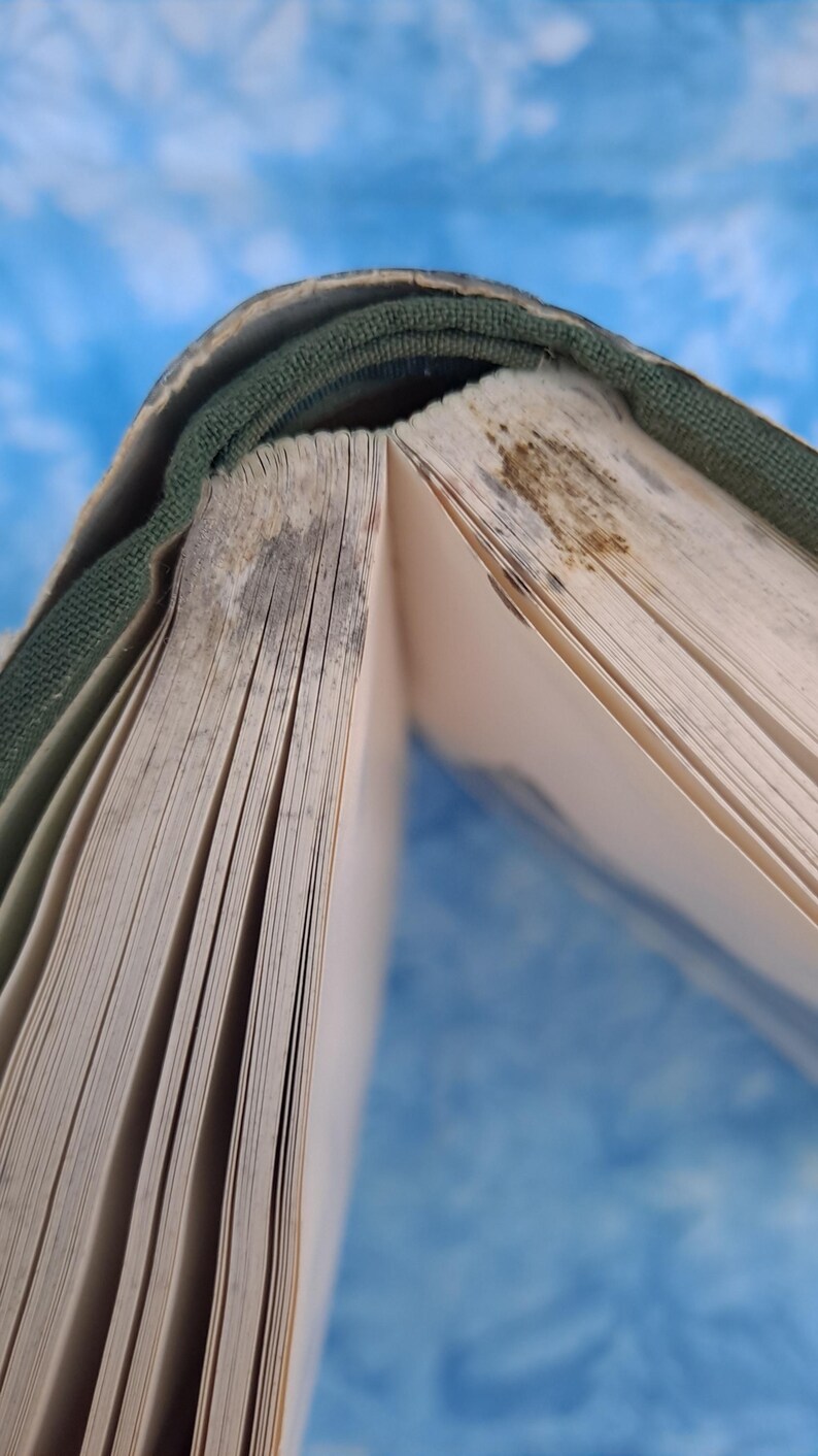 1988. 6th Printing, Kinsey Photographer Book - Etsy