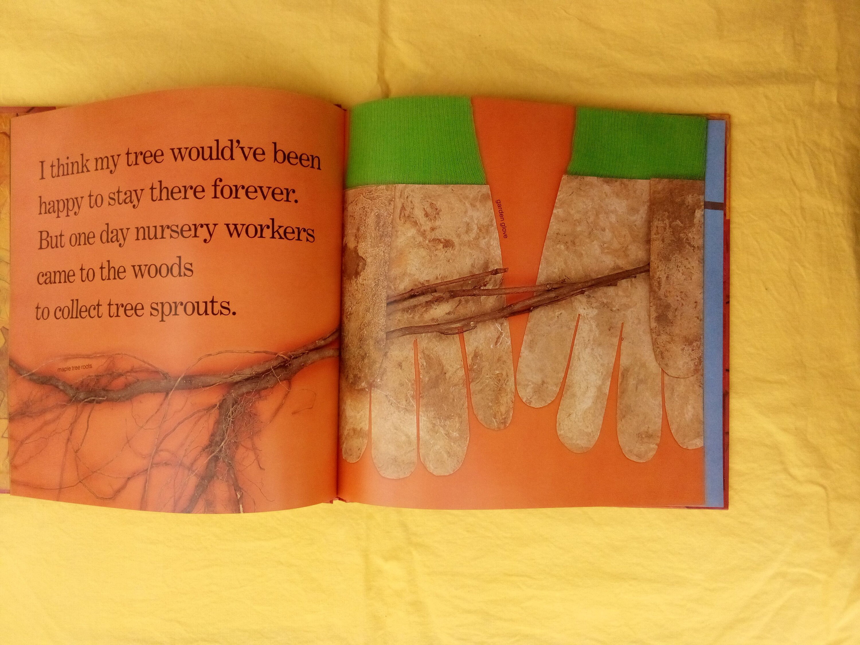 Red Leaf, Yellow Leaf, by Lois Ehlert, Children's Book - Etsy