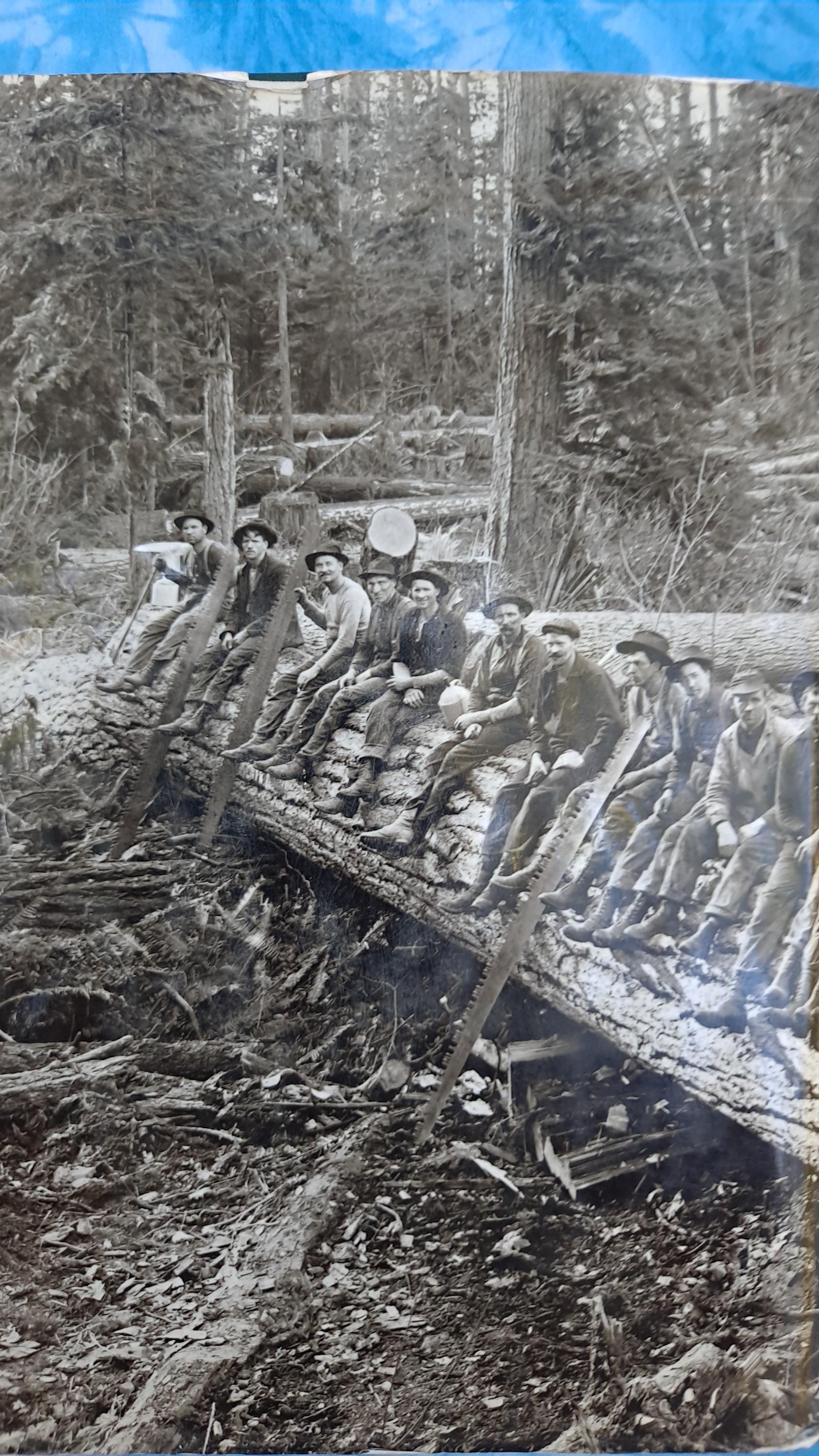 1988. 6th Printing, Kinsey Photographer Book - Etsy