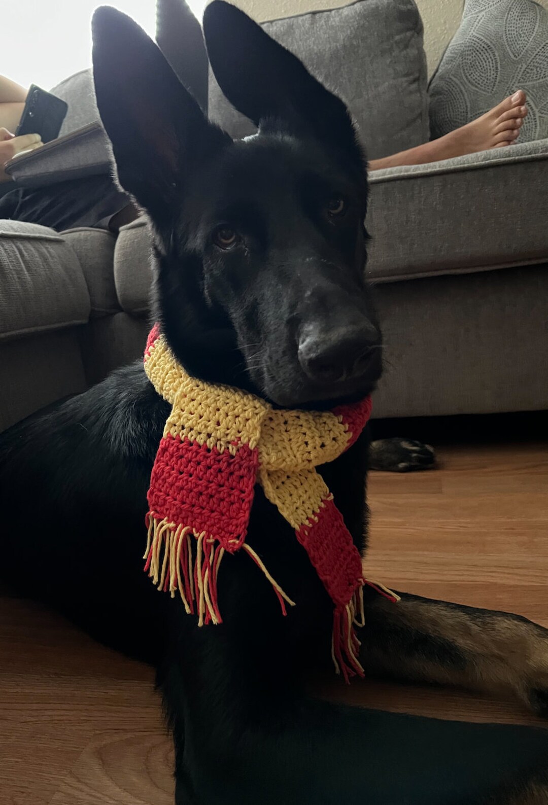 Wizard Dog Scarf, Halloween Dog Costume - Etsy