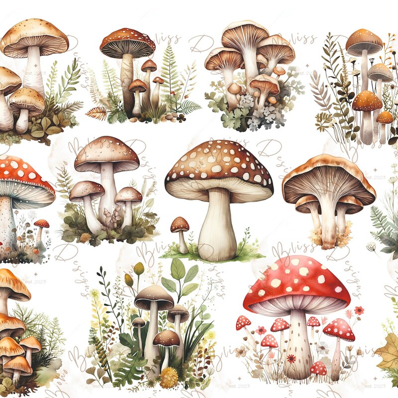 Mushroom Clipart - Etsy