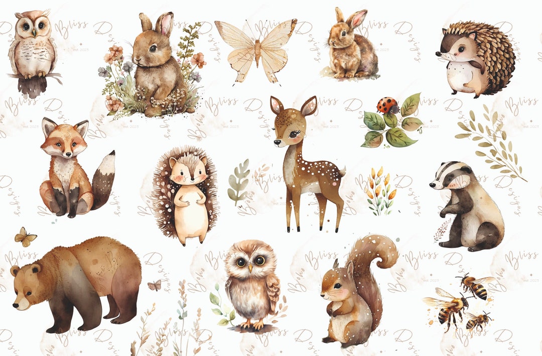Forest Animal Clipart Woodland Animals Watercolor Clipart, Forest ...