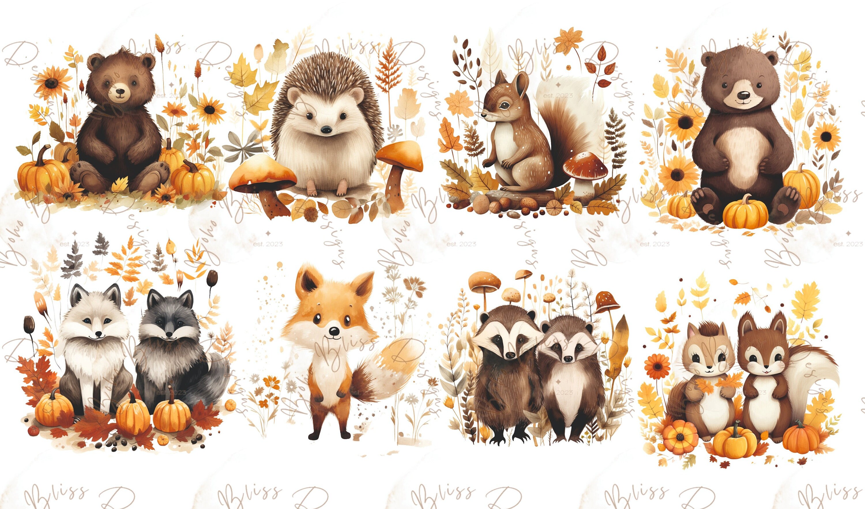 Cute Forest Animal Clipart, Watercolor Woodland Forest Animal Clipart ...
