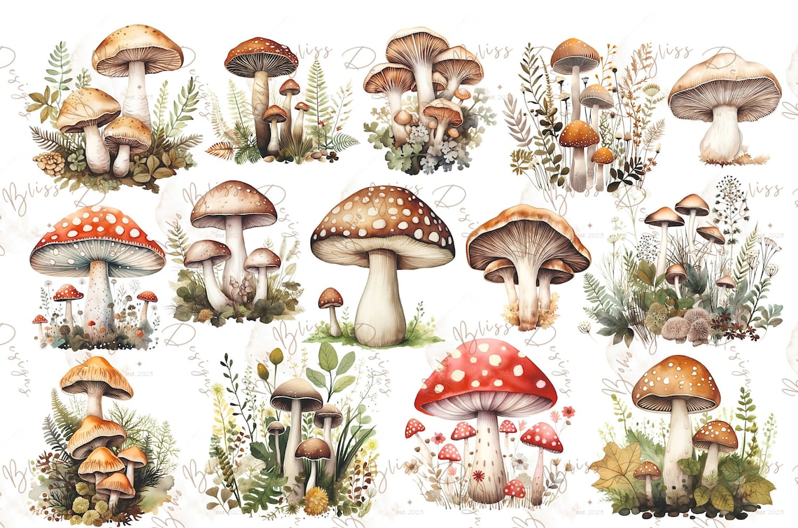 Mushroom Clipart, Watercolor Mushrooms Clipart, Cute Forest Nature ...