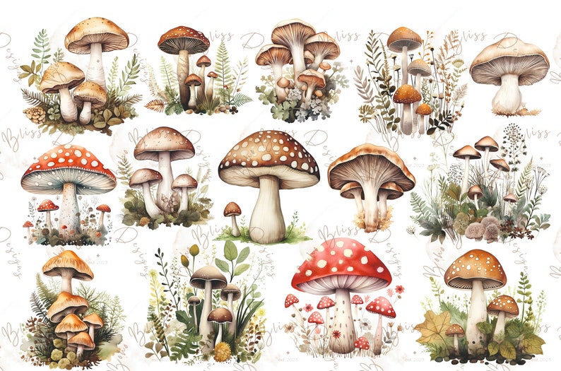 Mushroom Clipart, Watercolor Mushrooms Clipart, Cute Forest Nature ...