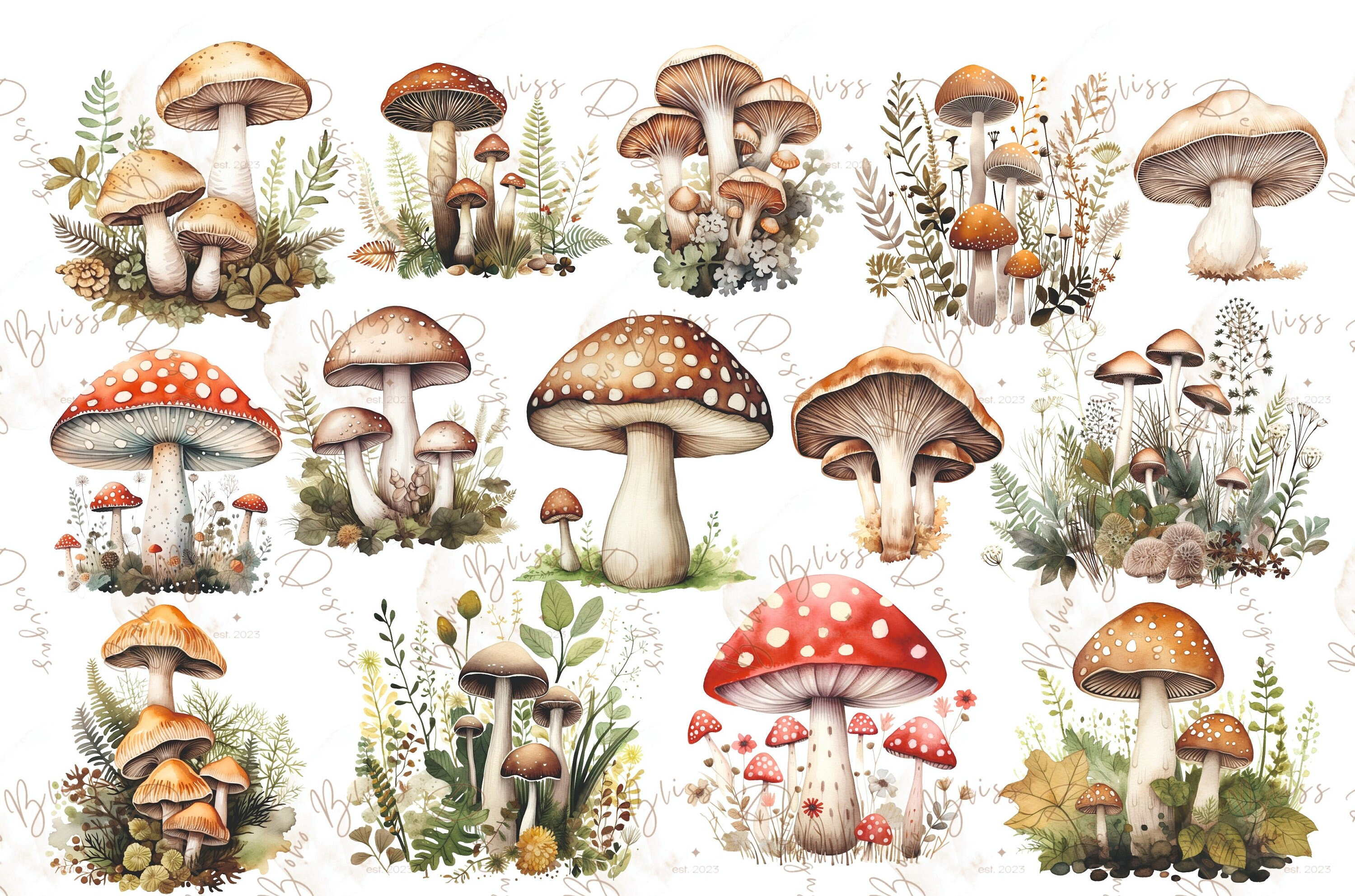 Mushroom Clipart, Watercolor Mushrooms Clipart, Cute Forest Nature ...