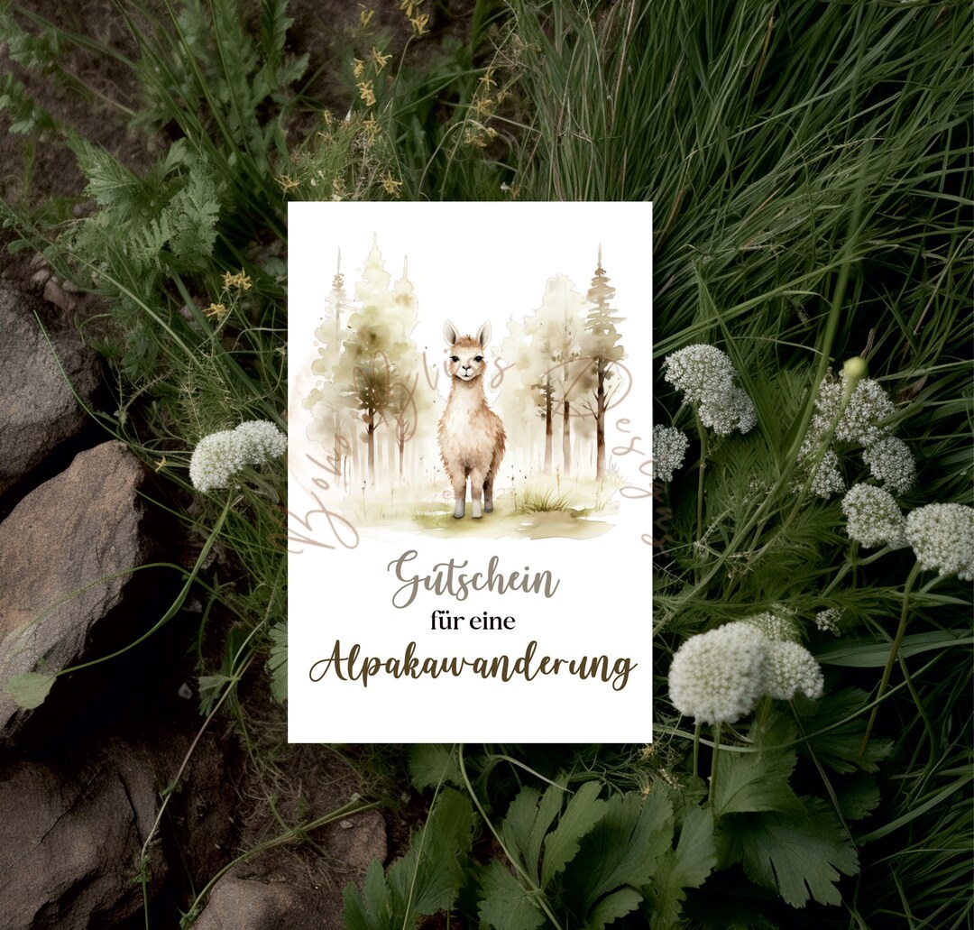 Alpaca Hike Voucher, Family Excursion Voucher, Alpaca Excursion, Llama ...