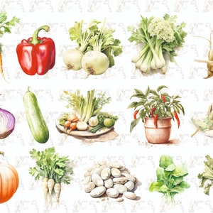 Watercolor Vegetables Clipart, Healthy Food Download, Food Clipart ...