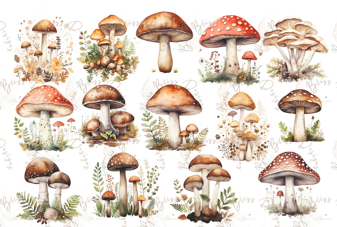 Mushroom Clipart, Watercolor Mushrooms Clipart, Cute Forest Nature ...