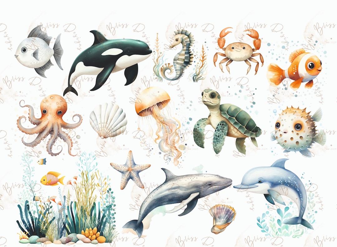 Ocean Clipart, Under the Sea Clipart, Sea Animals Watercolor Clipart ...