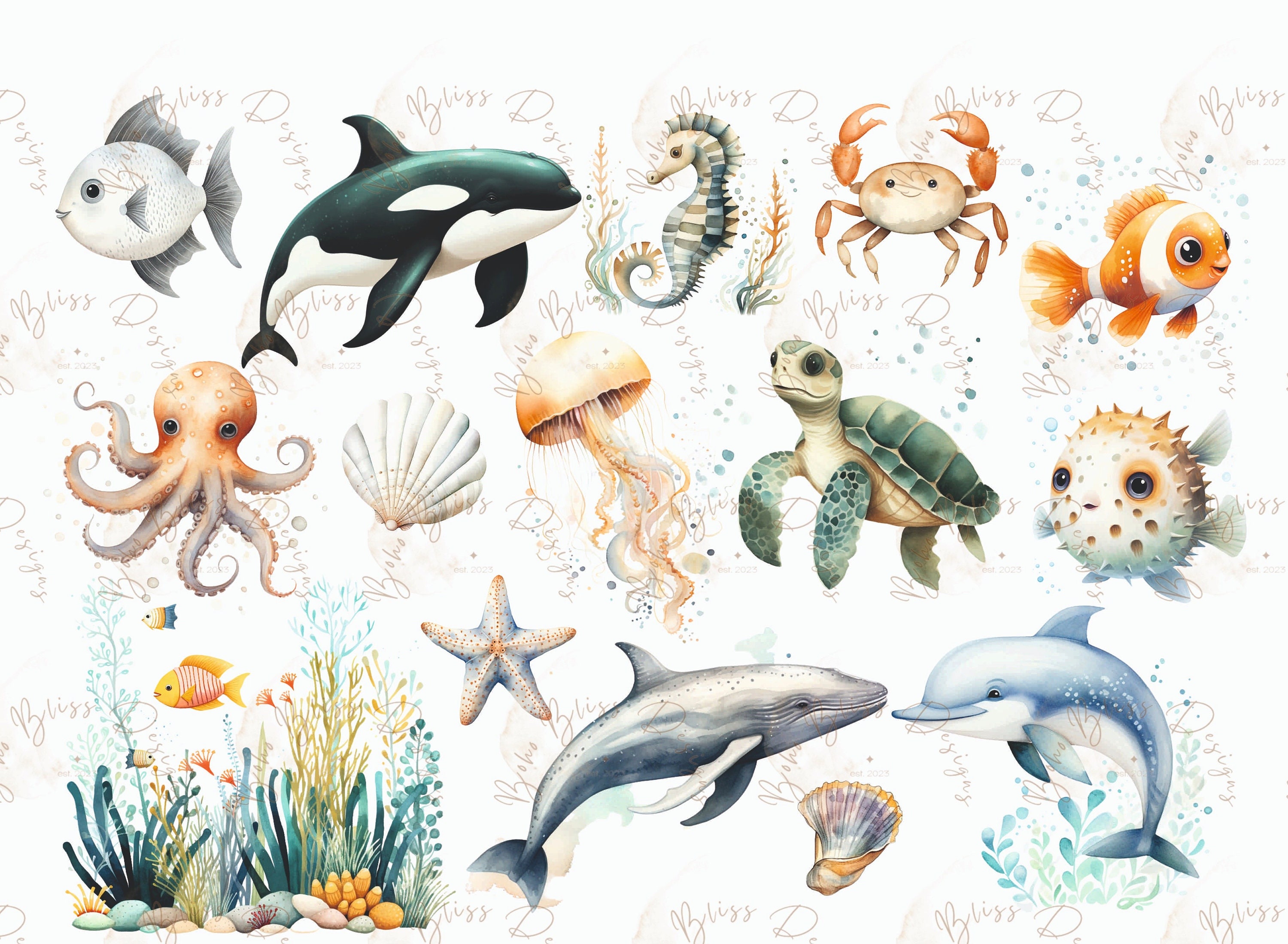 Ocean Clipart, Under the Sea Clipart, Sea Animals Watercolor Clipart ...