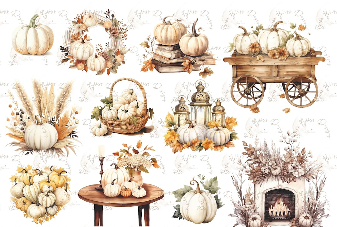 White Pumpkin Clipart, Garden Clipart, Boho Fall Clipart, Autumn ...