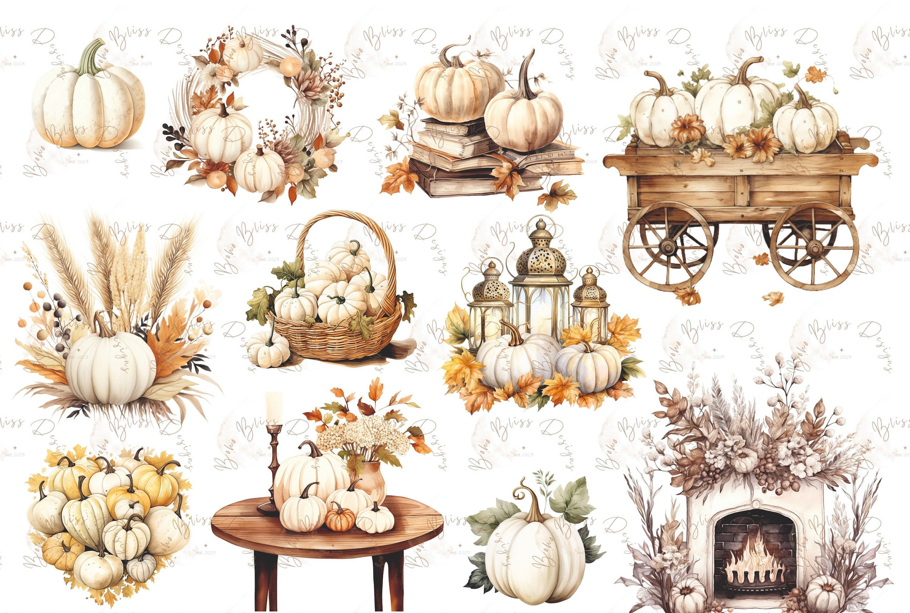 White Pumpkin Clipart, Garden Clipart, Boho Fall Clipart, Autumn ...