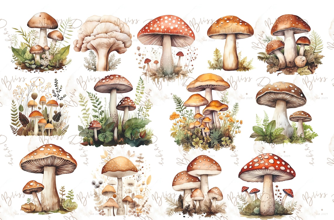 Mushroom Clipart, Watercolor Mushrooms Clipart, Cute Forest Nature ...