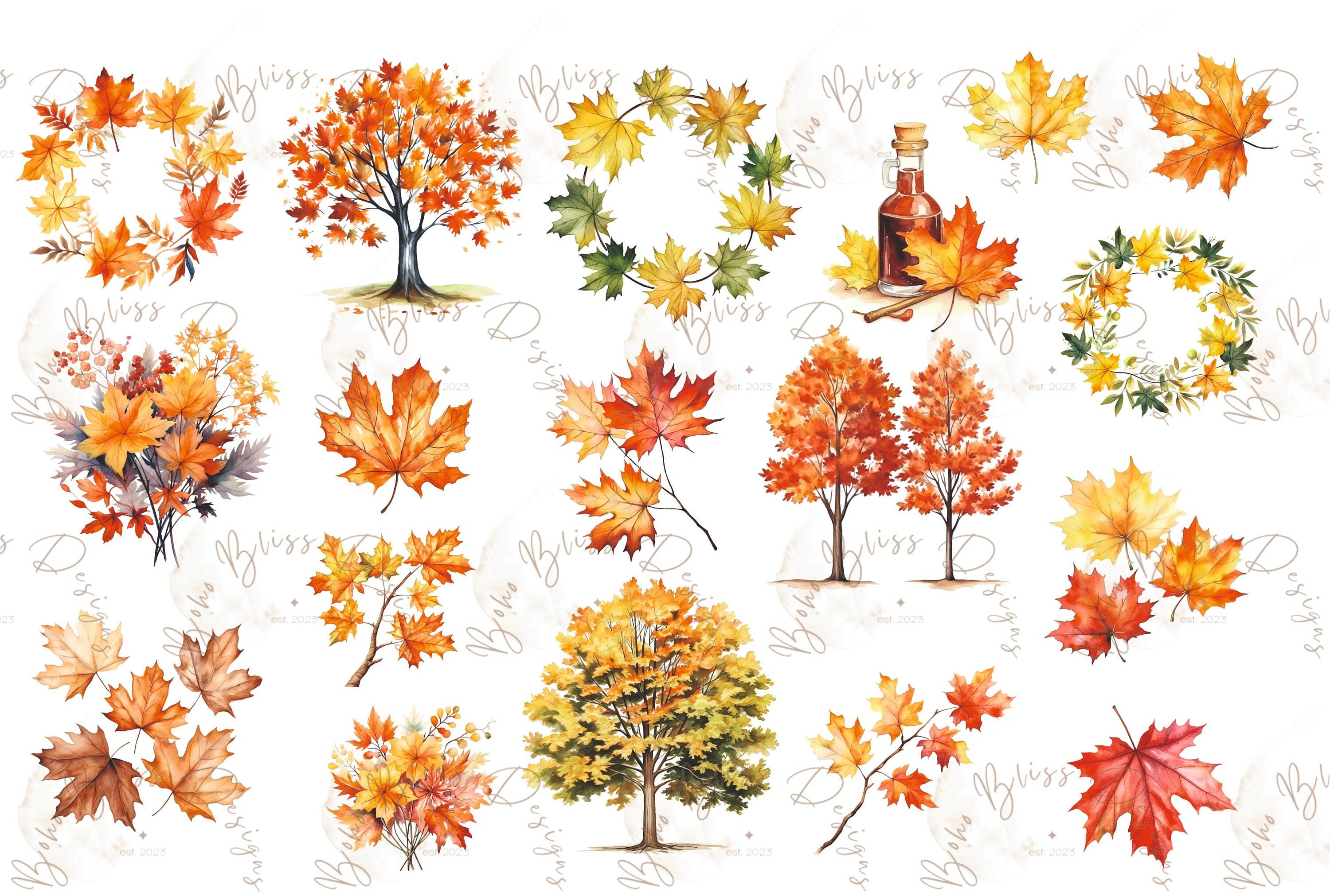 Watercolor Maple Clipart Maple Leaves Fall Png Fall - Etsy