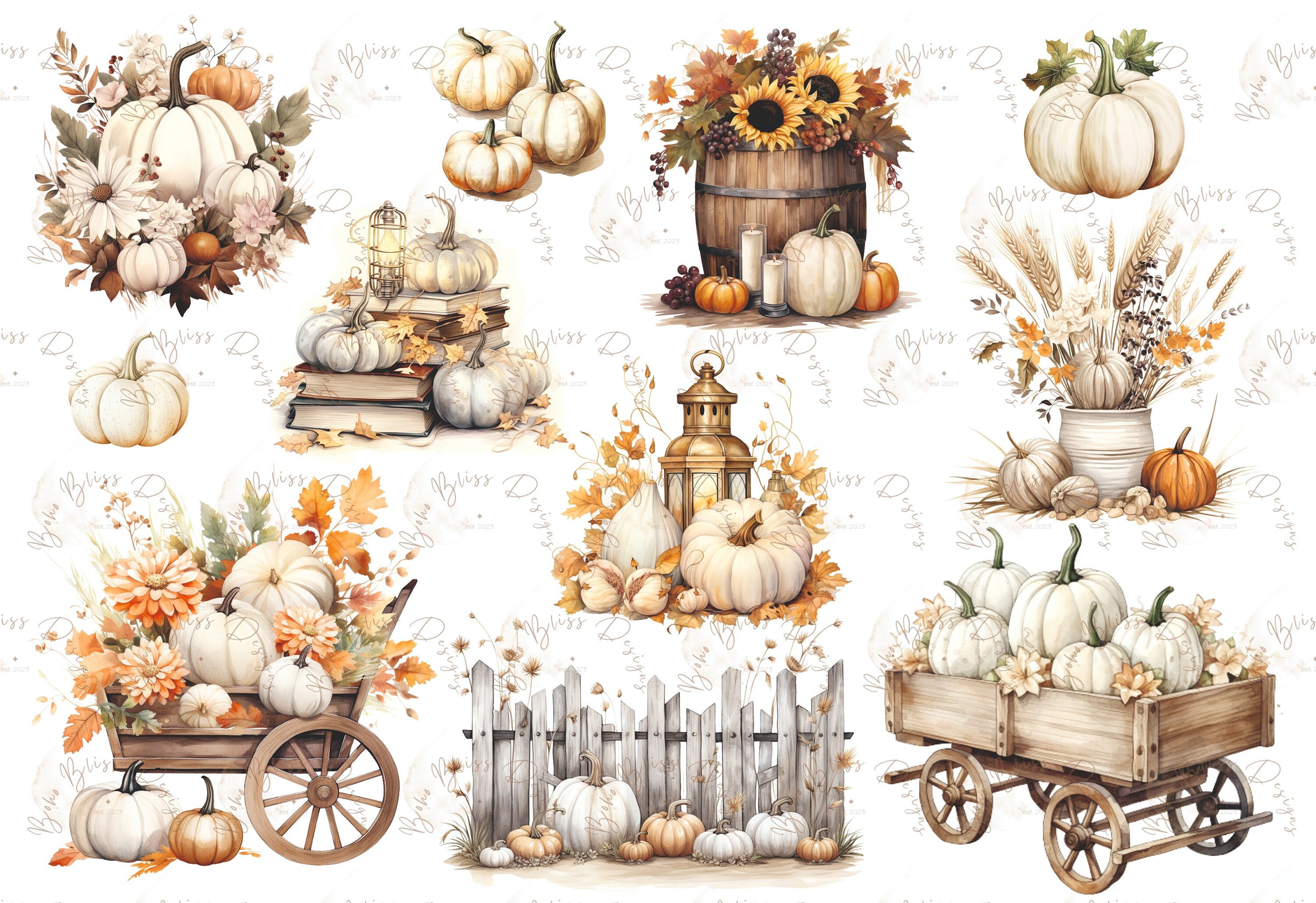White Pumpkin Clipart, Garden Clipart, Boho Fall Clipart, Autumn ...